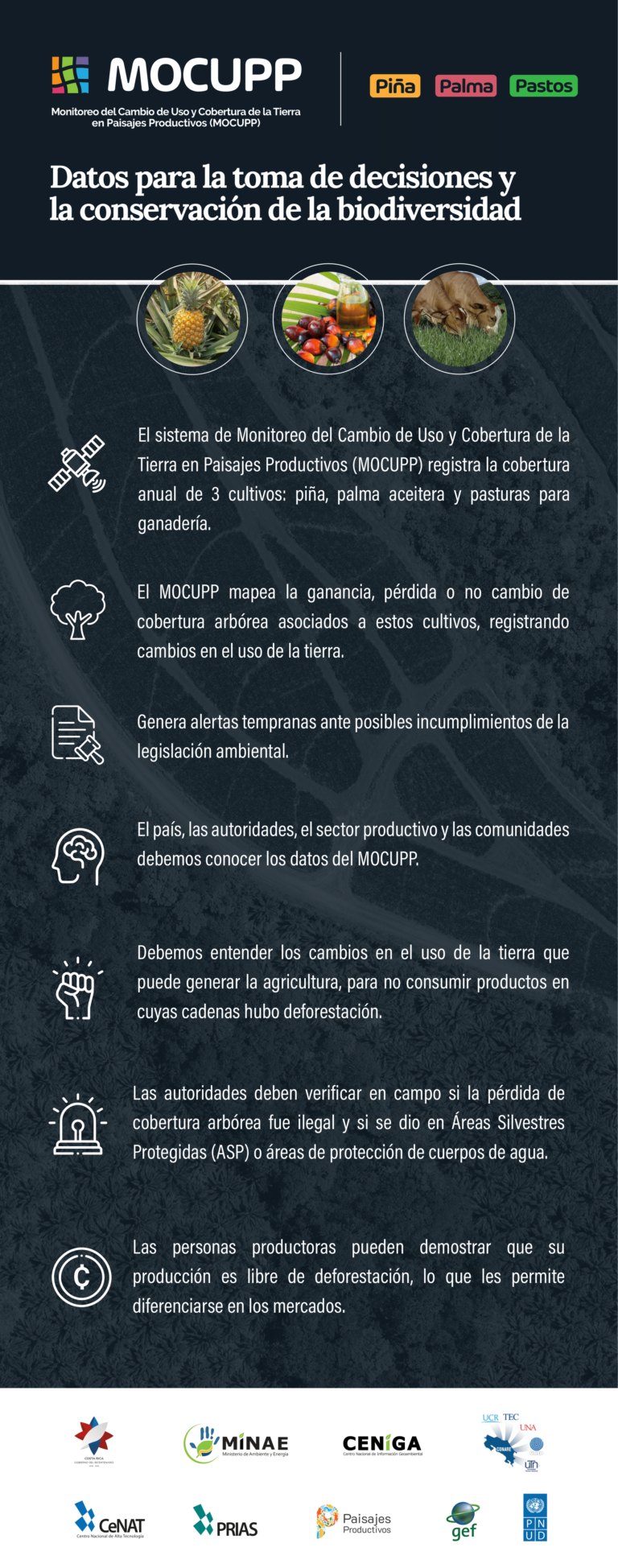 Inicio - MOCUPP